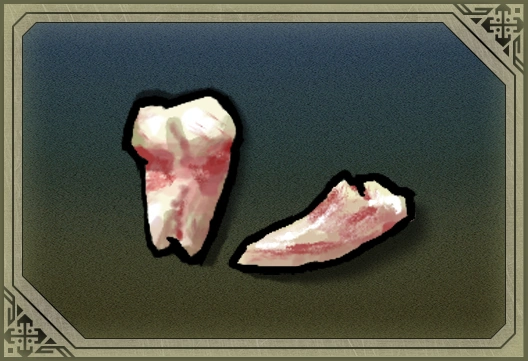 Tooth | Mato Anomalies Wiki | Fandom