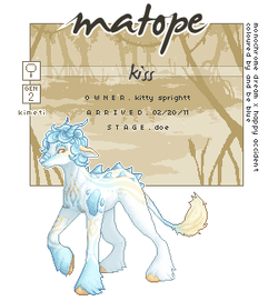 Kiss | Matope Wiki | Fandom