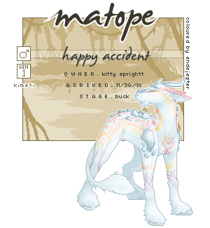 Happy Accident | Matope Wiki | Fandom