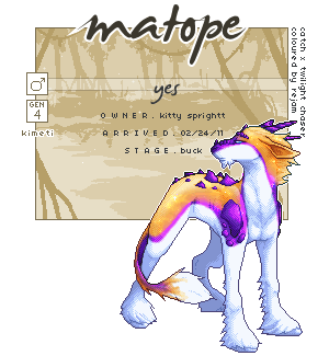 Yes | Matope Wiki | Fandom