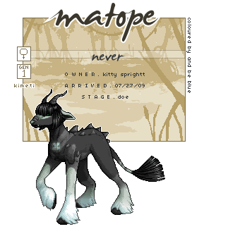 Never | Matope Wiki | Fandom