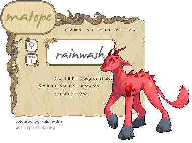 Rainwash | Matope Wiki | Fandom