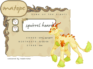 Squirrel Hoard | Matope Wiki | Fandom