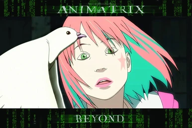 Animatrix Program