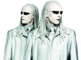 The Twins