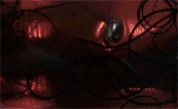 Neo Matrix Animated Gif