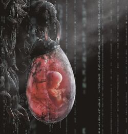 Fetus Pod