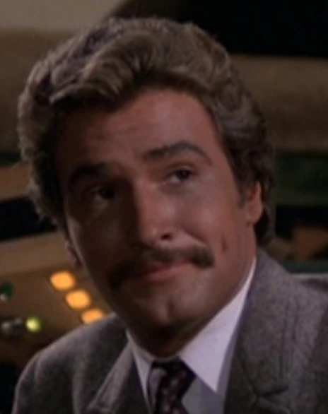 Matt Houston | Matt Houston Wiki | Fandom