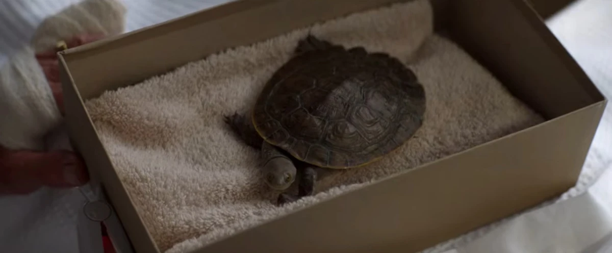 Turbo | Matthew Reilly Wiki | Fandom