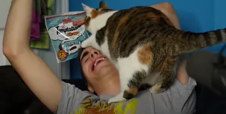 Category:Pets | Mattshea Wiki | Fandom