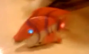 Tiger angelfish | Max and ruby 2 Wikia | Fandom