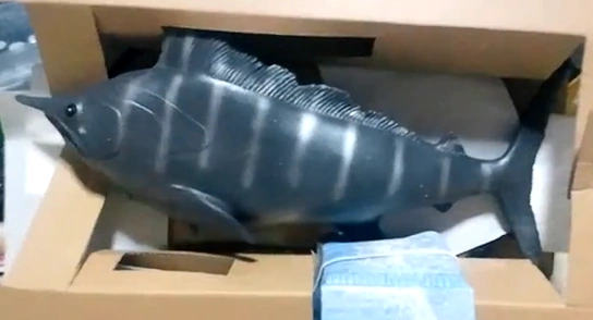 BUBBLE BOPPER Selfish the Sword fish | Max and ruby 2 Wikia | Fandom