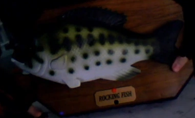 Rocky fish | Max and ruby 2 Wikia | Fandom