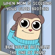 List of all comics, riddles and extras | Max Design Pro Wiki | Fandom