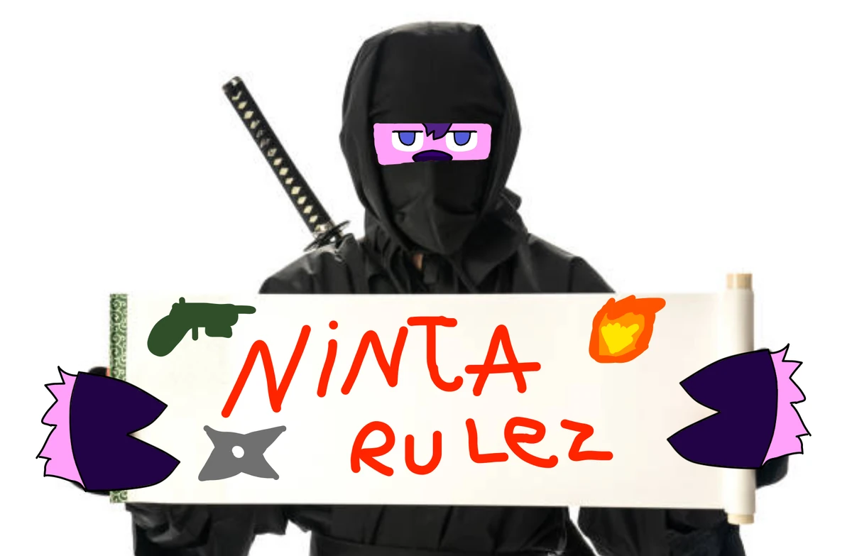 The official way of the ninja (SNA rule book) | Max Keeble's Big Move ...