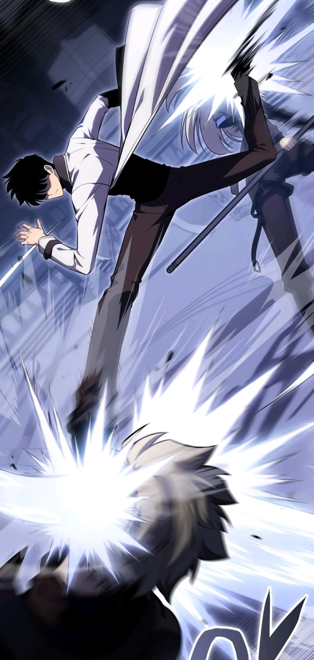 Chapter 101 | Max Level Newbie Wiki | Fandom