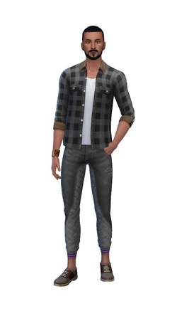 Reed Stone | Sims Big Brother Wiki | Fandom