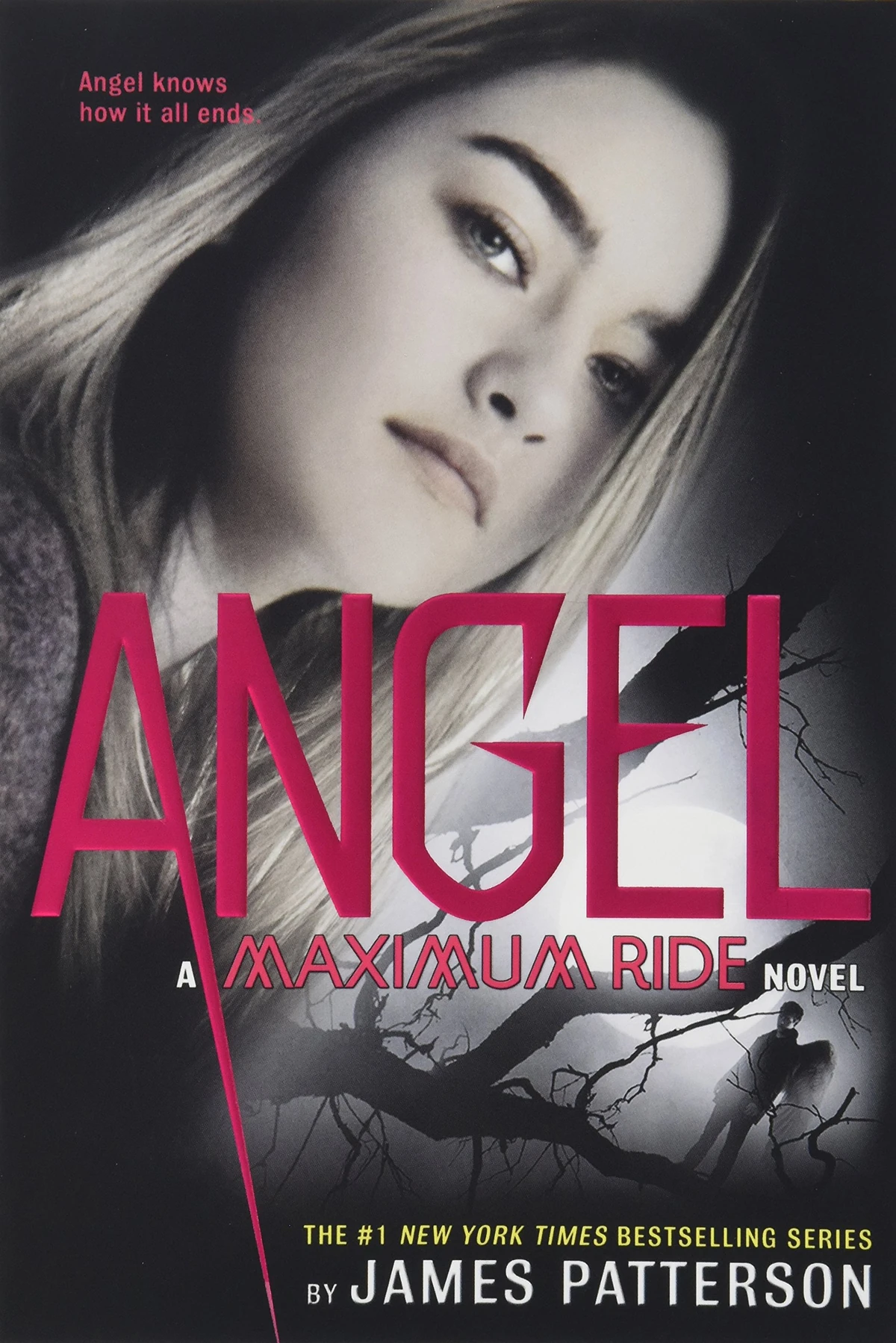 Angel: A Maximum Ride Novel | Wiki Maximum Ride | Fandom