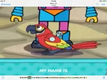 Scarlet Bilingual Macaw | Max & Ruby Wiki | Fandom