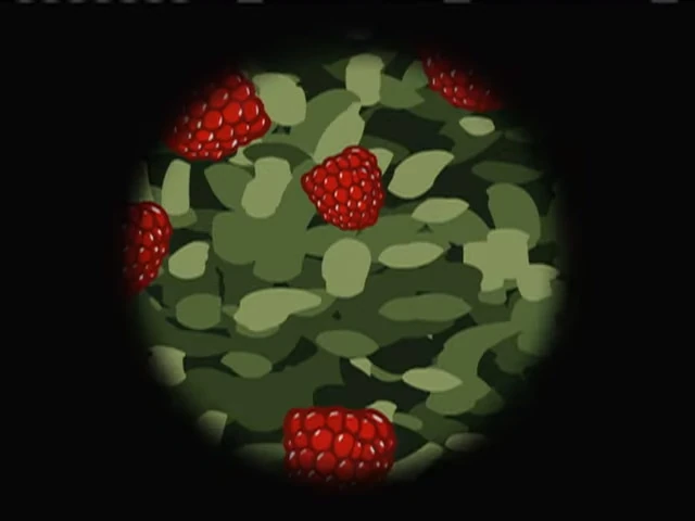 Grandma's Berry Patch/gallery | Max & Ruby Wiki | Fandom