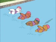 Ruby's Water Lily | Max & Ruby Wiki | Fandom