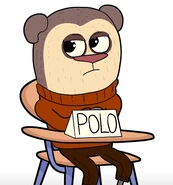 Polo | MaxDesignPro V2 Wiki | Fandom