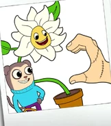 Jimmy | MaxDesignPro V2 Wiki | Fandom