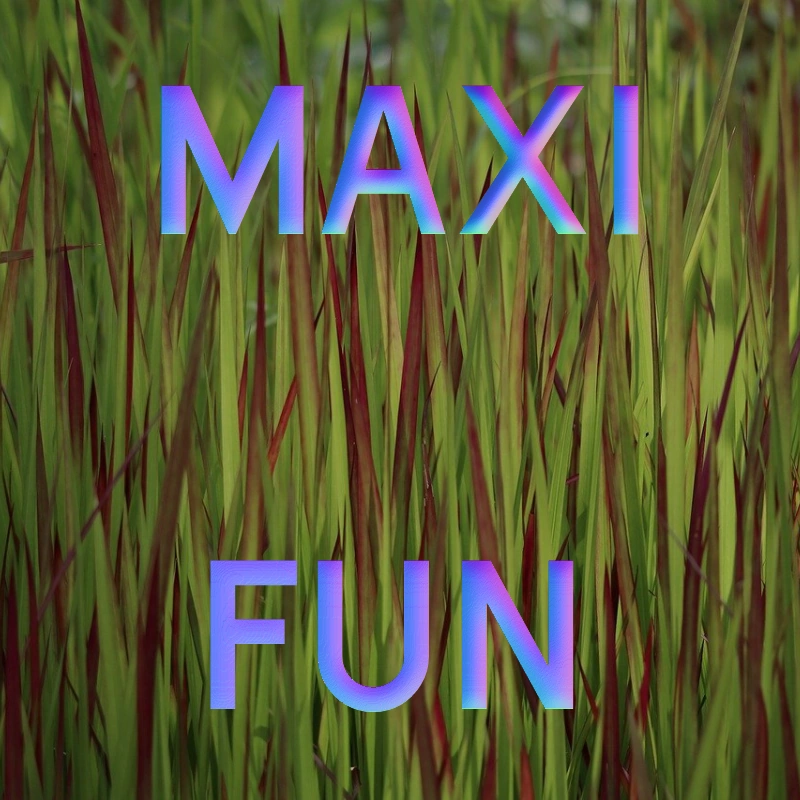 MaxiTube records | MaxiTube Wiki | Fandom