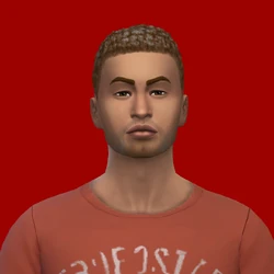 Frank Vann | Max's Big Brother Sims Wiki | Fandom