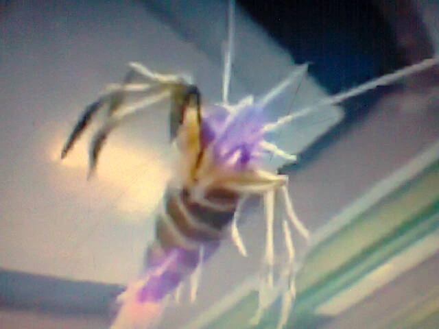 Extroyer Avispa | Max Steel Wiki | Fandom