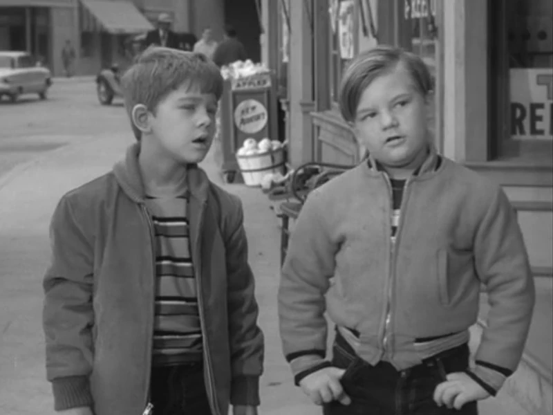 Joey (a) | Mayberry Wiki | Fandom