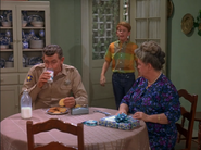 Opie Taylor | Mayberry Wiki | Fandom