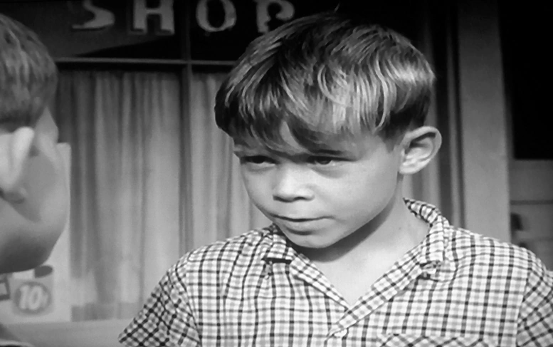 Terry Dickinson | Mayberry Wiki | Fandom