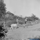 The Loaded Goat | Mayberry Wiki | Fandom