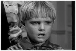 Joey Scott | Mayberry Wiki | Fandom