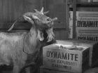 The Loaded Goat | Mayberry Wiki | Fandom