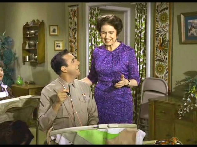 The Secret Life of Gomer Pyle | Mayberry Wiki | Fandom