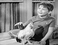 Beau | Mayberry Wiki | Fandom