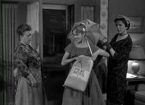 Barbara Sue | Mayberry Wiki | Fandom