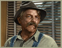 Briscoe Darling | Mayberry Wiki | Fandom