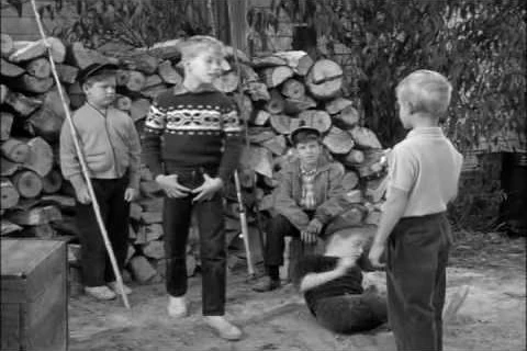 One-Punch Opie | Mayberry Wiki | Fandom