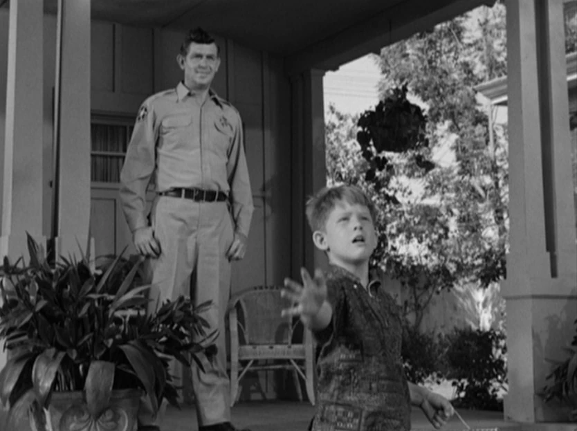 Opie the Birdman | Mayberry Wiki | Fandom