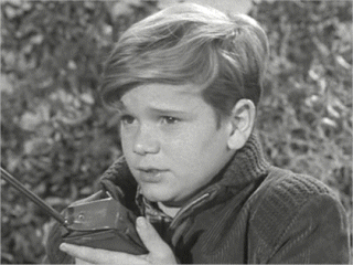 Ronnie Dapo | Mayberry Wiki | Fandom