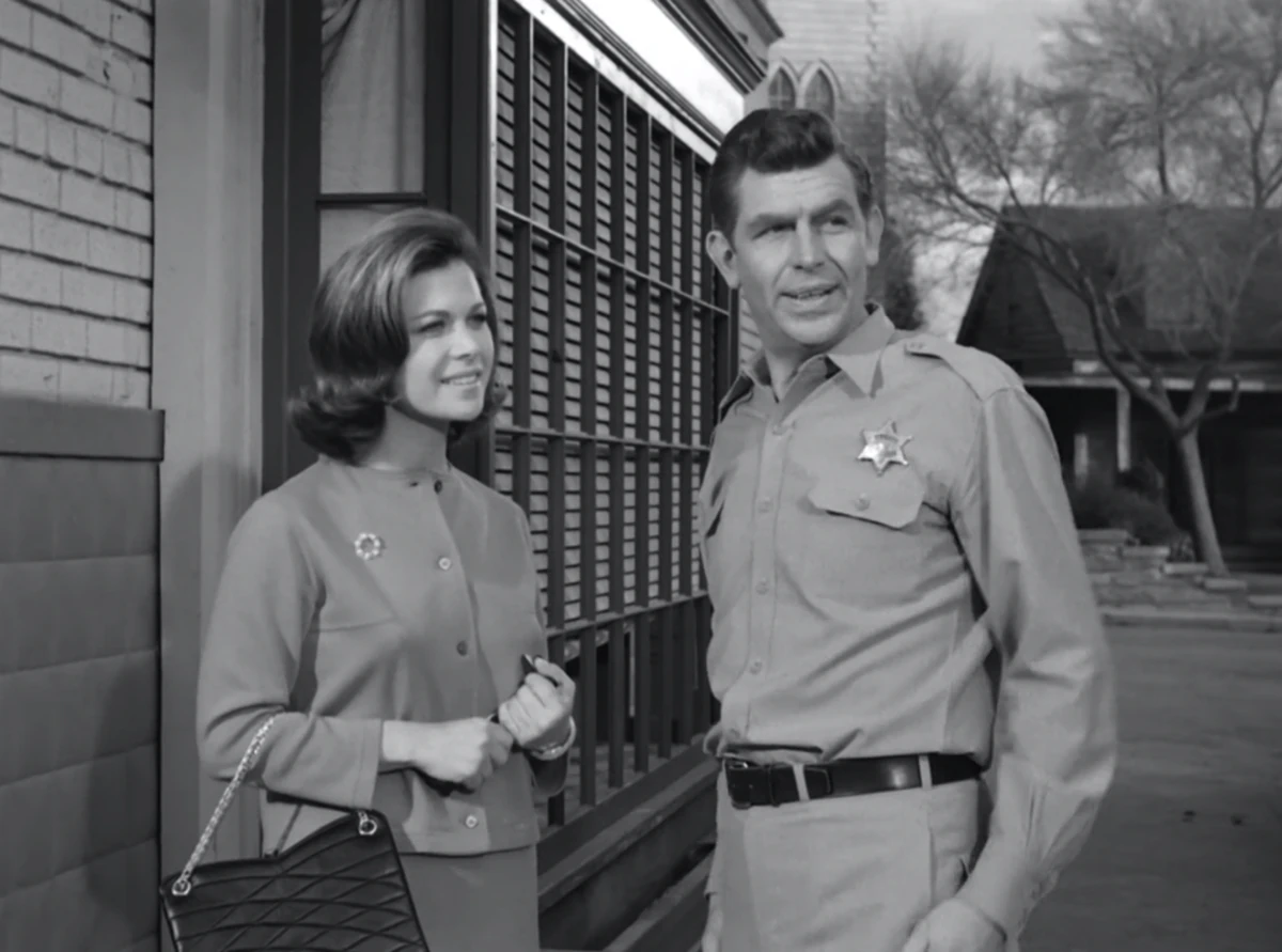 Guest in the House | Mayberry Wiki | Fandom