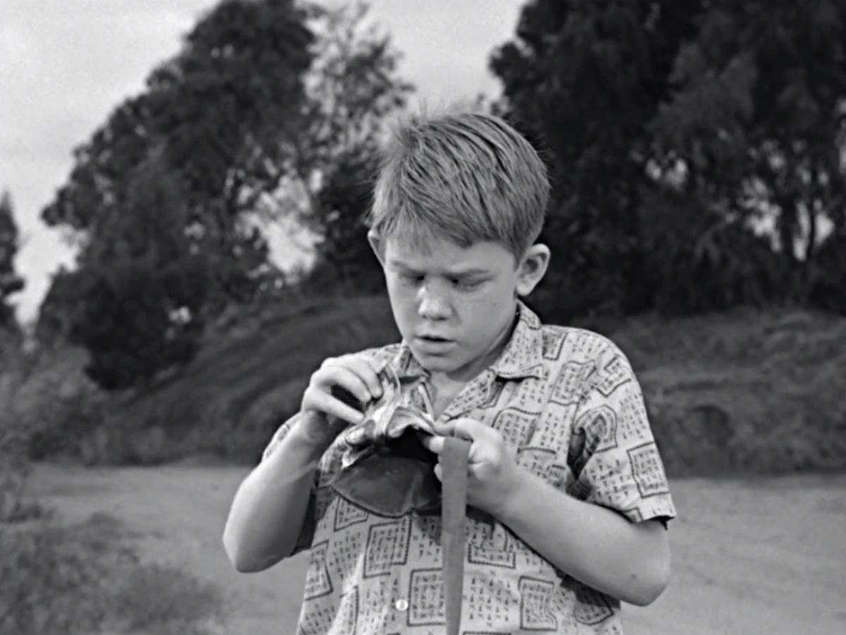 Opie's Fortune | Mayberry Wiki | Fandom