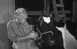 The Cow Thief | Mayberry Wiki | Fandom