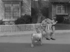 The Loaded Goat | Mayberry Wiki | Fandom