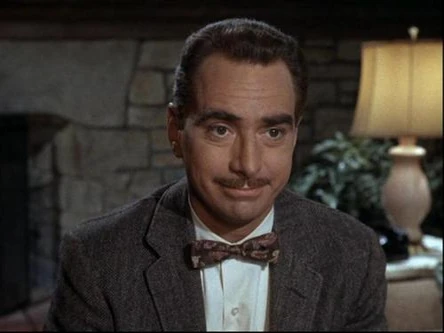 Howard's New Life | Mayberry Wiki | Fandom