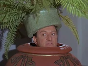 David Ketchum | Mayberry Wiki | Fandom