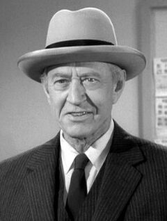 Carl Benton Reid | Mayberry Wiki | Fandom